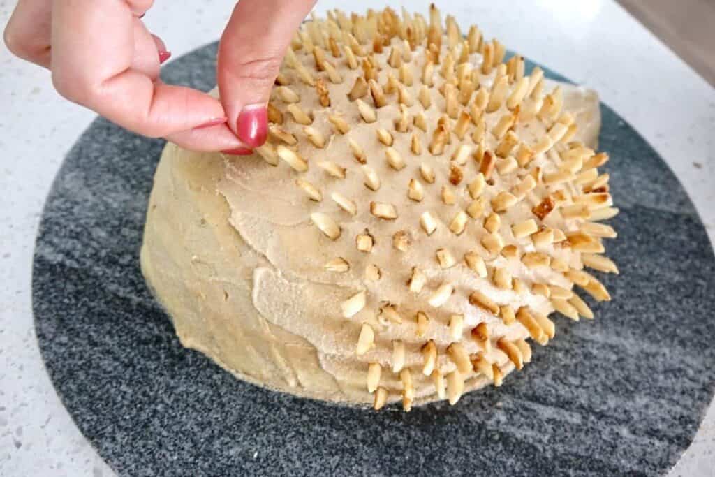 The CUTEST Hedgehog Cake!